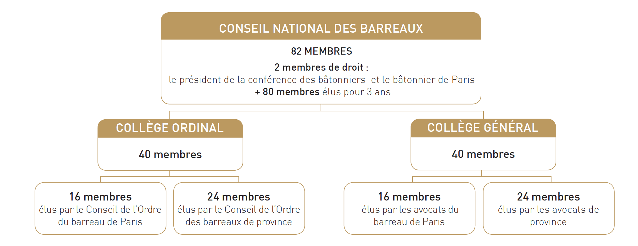 Le fonctionnement du Conseil national des barreaux | Conseil national ... Le fonctionnement du Conseil national des barreaux | Conseil national ...